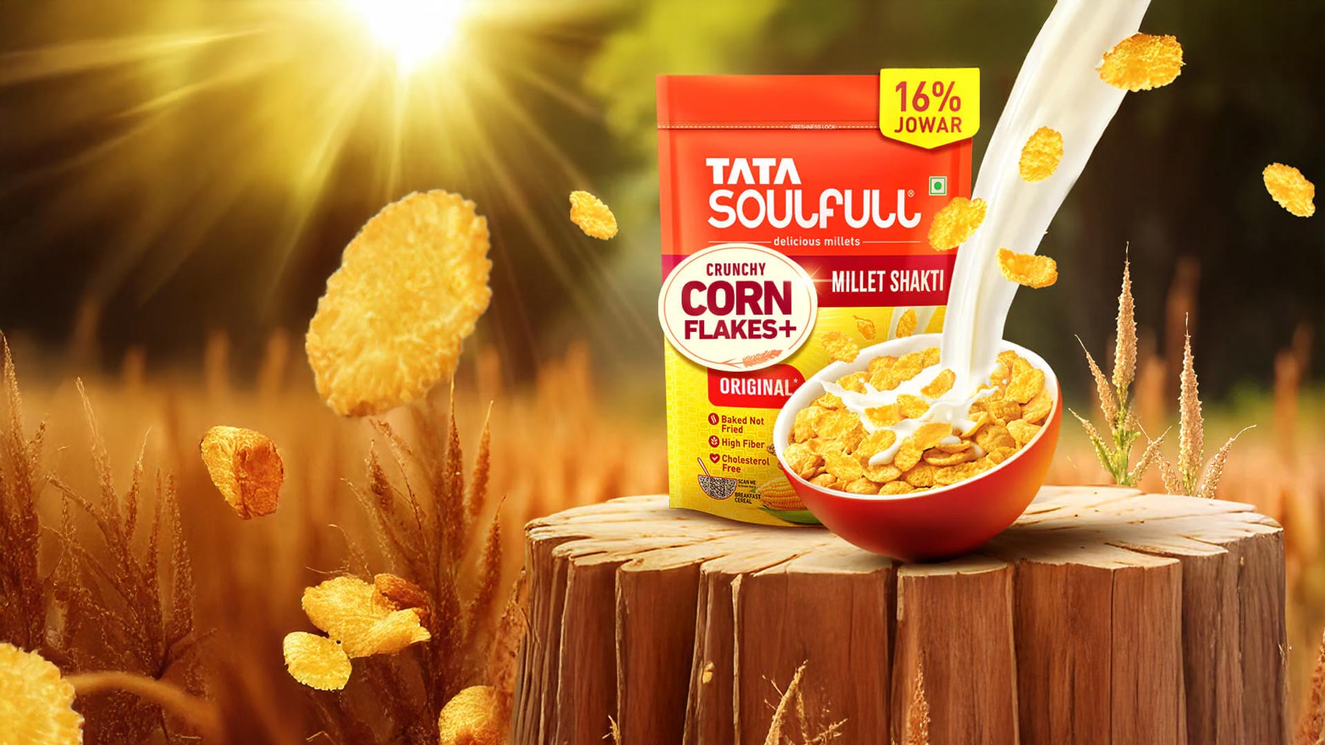 The Tata group. Leadership with Trust.