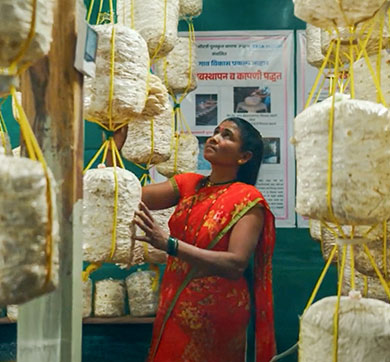 IVDP: Partnering for Change | Tata group